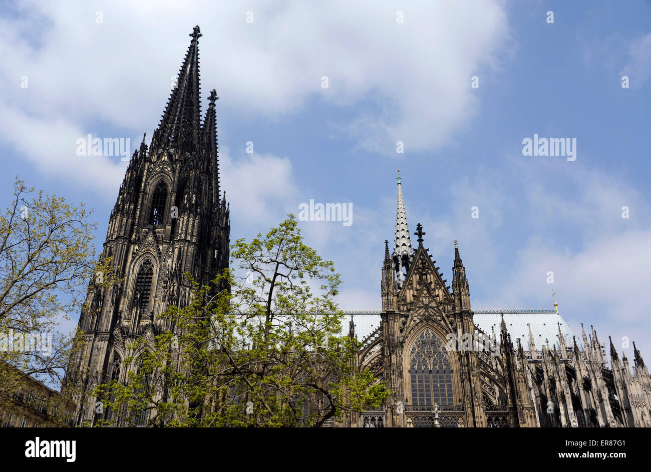 Cologne,Koln,Kolner Dom,Cologne cathedral,North Rhine-Westphalia ...