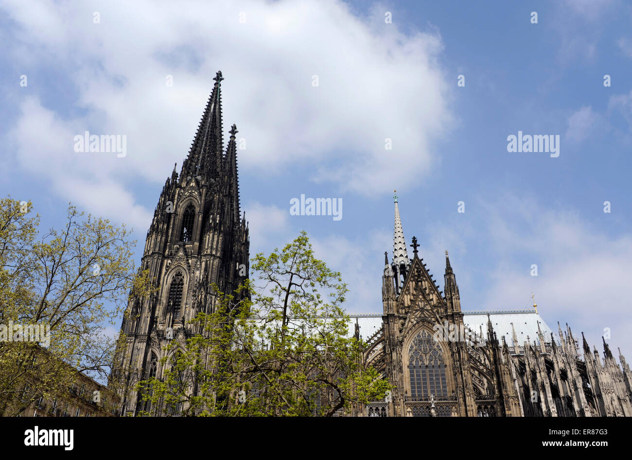 Cologne,Koln,Kolner Dom,Cologne cathedral,North Rhine-Westphalia ...