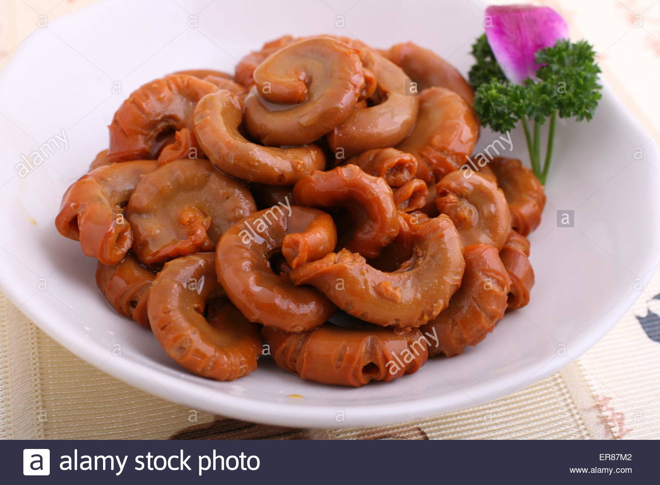 Intestines Stock Photos & Intestines Stock Images - Alamy