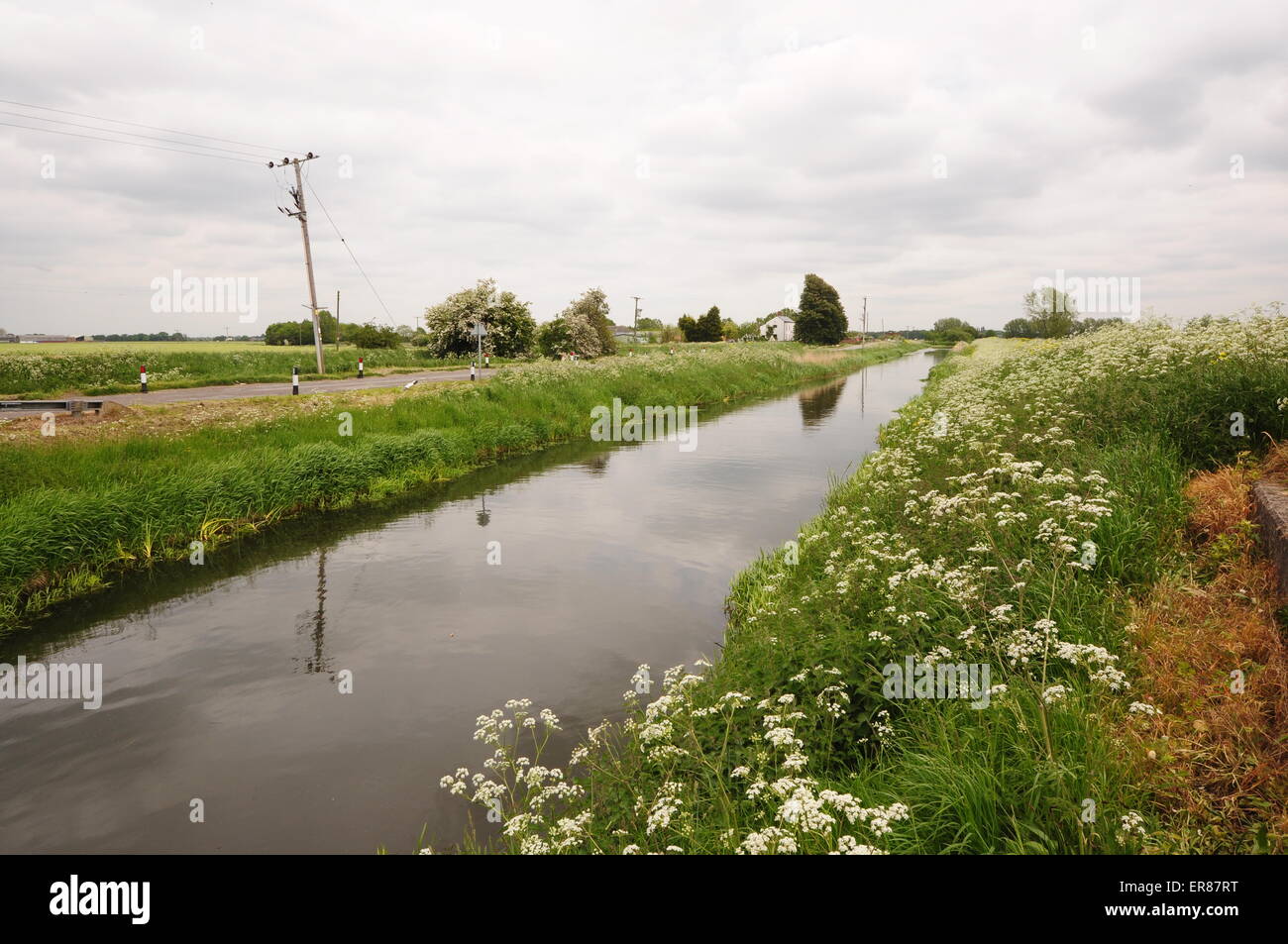 River Torne Hatfield Chase off Idle Bank Lincolnshire UK Stock Photo ...
