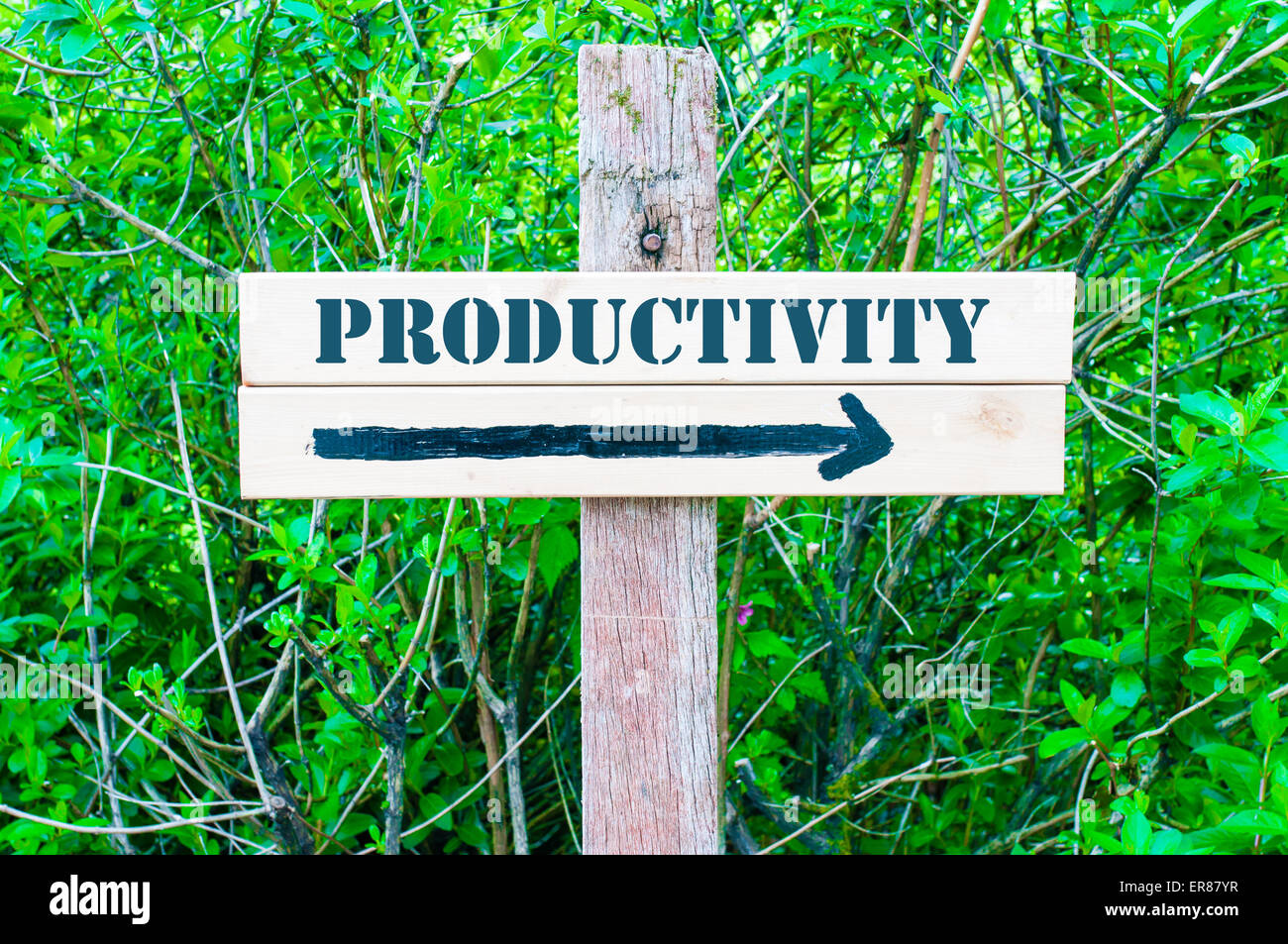 PRODUCTIVITY written on Directional wooden sign with arrow pointing to ...