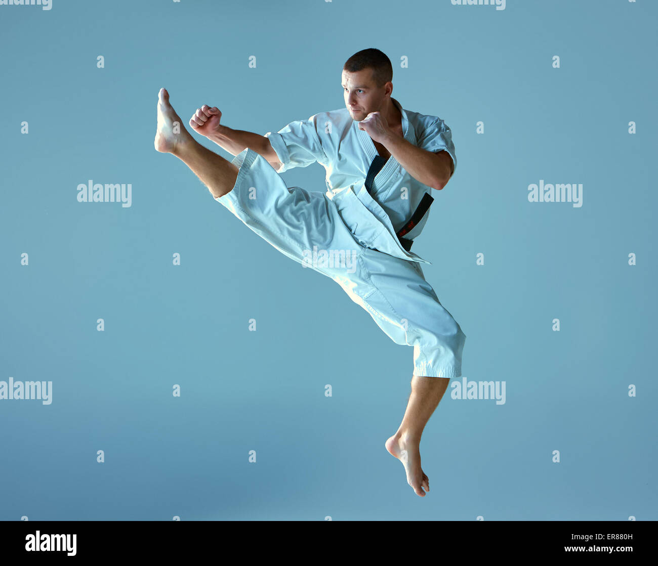 Karate Jump Kick Silhouette