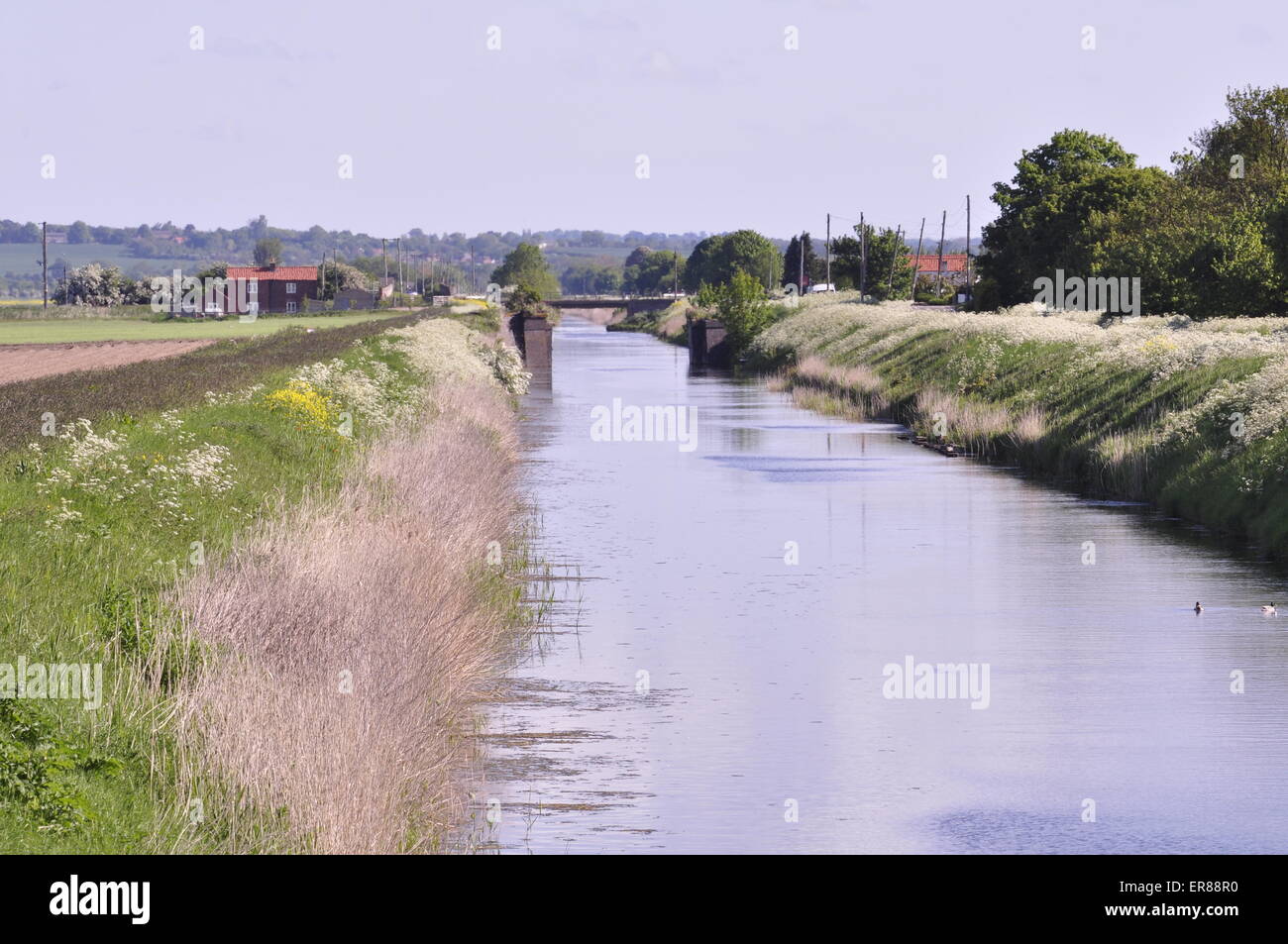 The Hobhole Drain, looking north from Midville, Lincolnshire Fens ...