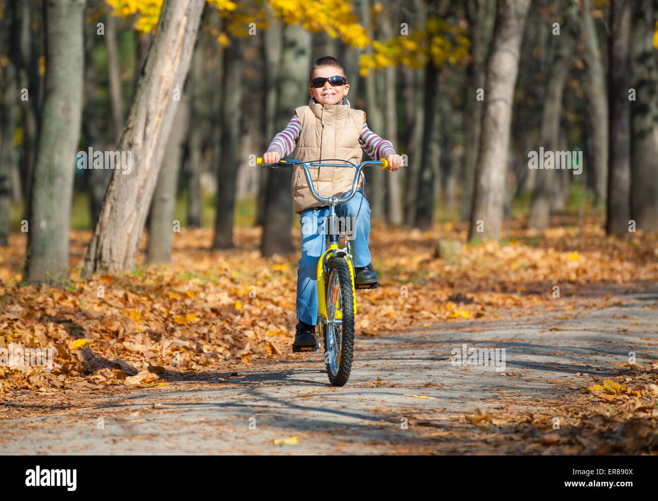 boy rides a bicycle in autumn park Stock Photo - Alamy