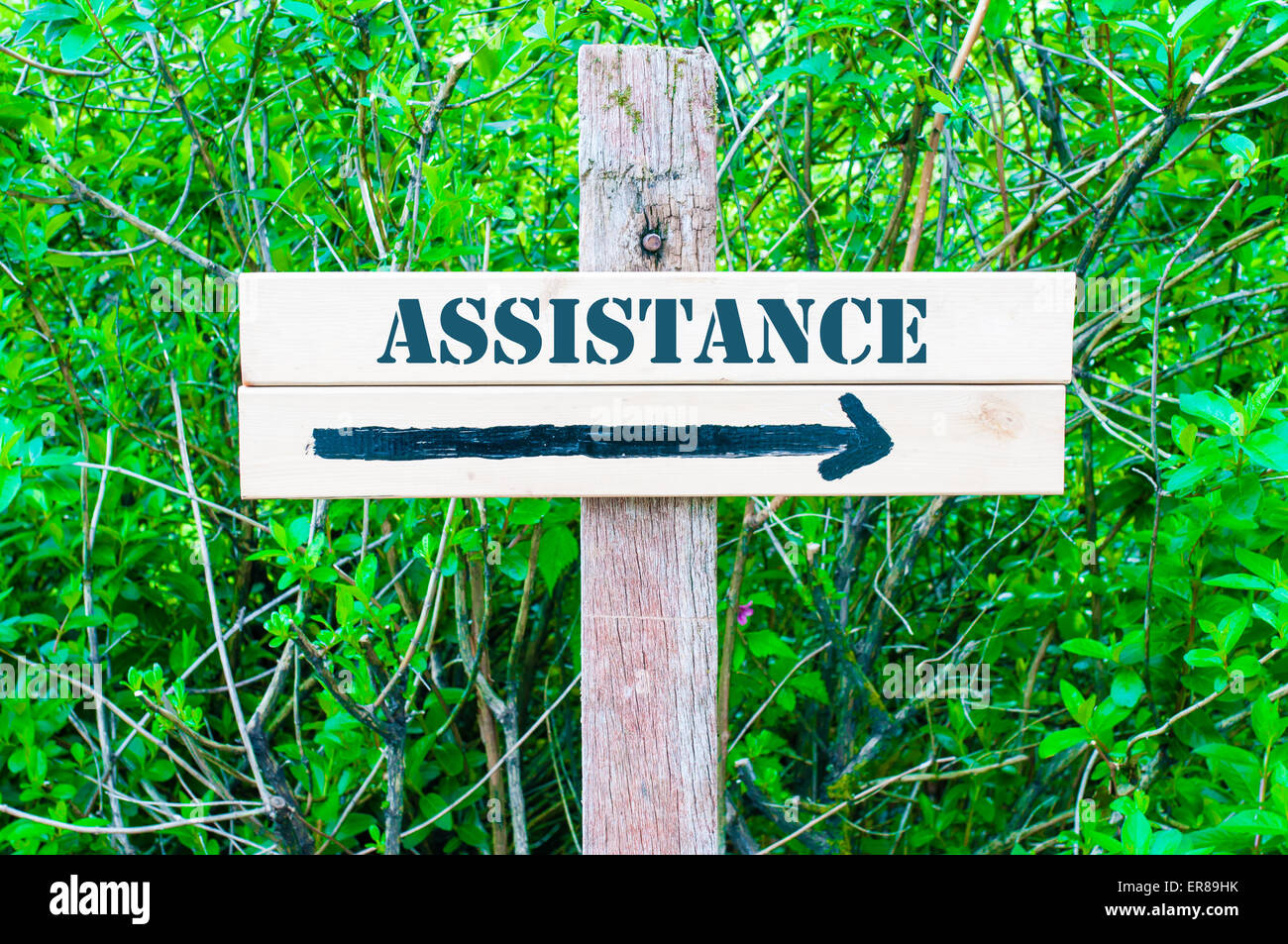 ASSISTANCE written on Directional wooden sign with arrow pointing to ...