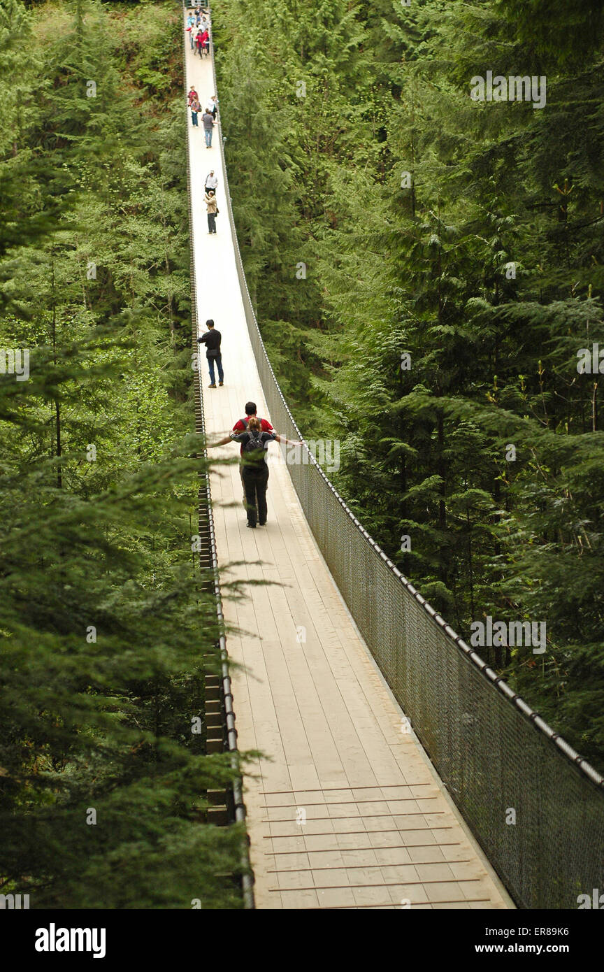 perspective of suspension bridge in a deep forest Stock Photo - Alamy