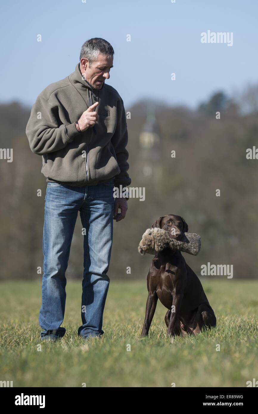 man and German shorthaired Pointer Stock Photo - Alamy