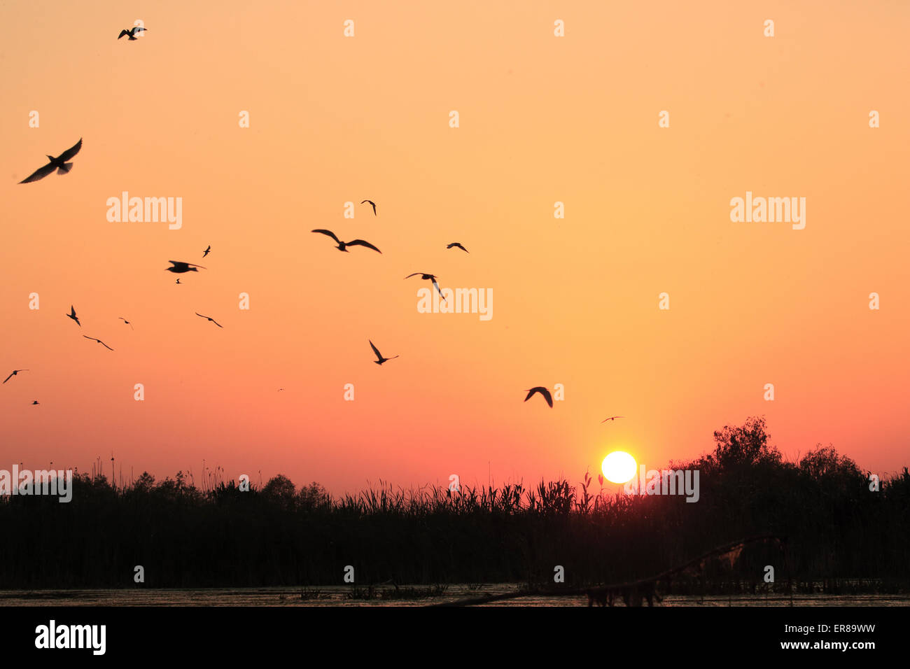 Delta flight hi-res stock photography and images - Alamy