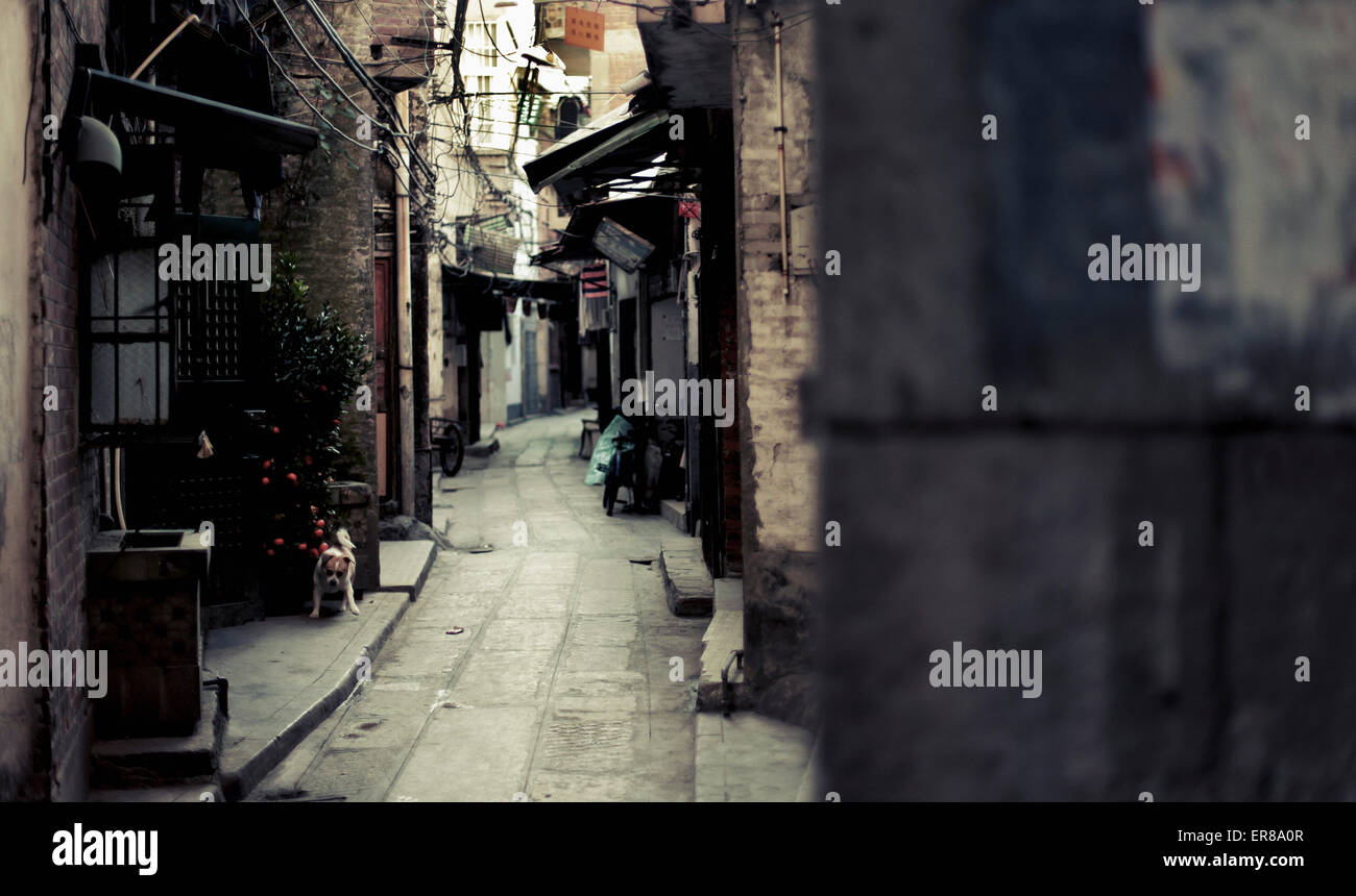 Narrow lane between houses, Guangzhou, China Stock Photo - Alamy