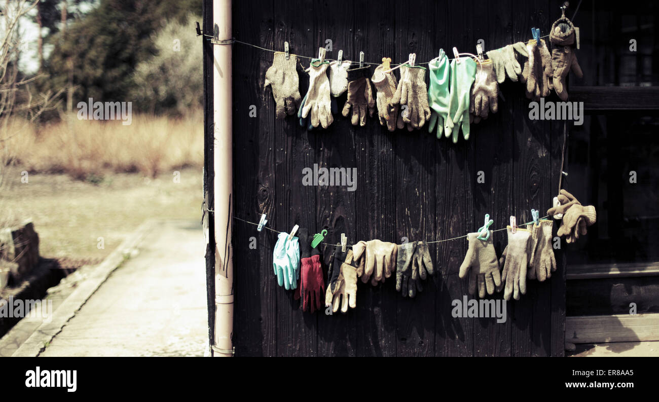 Gloves drying on clothesline at yard, Hamasaka, Japan Stock Photo - Alamy