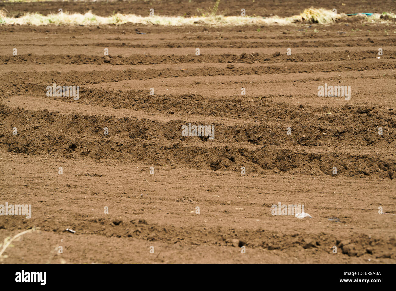 Tilled land hi-res stock photography and images - Alamy