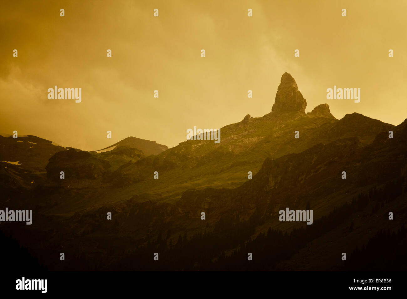 Giants tooth hi-res stock photography and images - Alamy