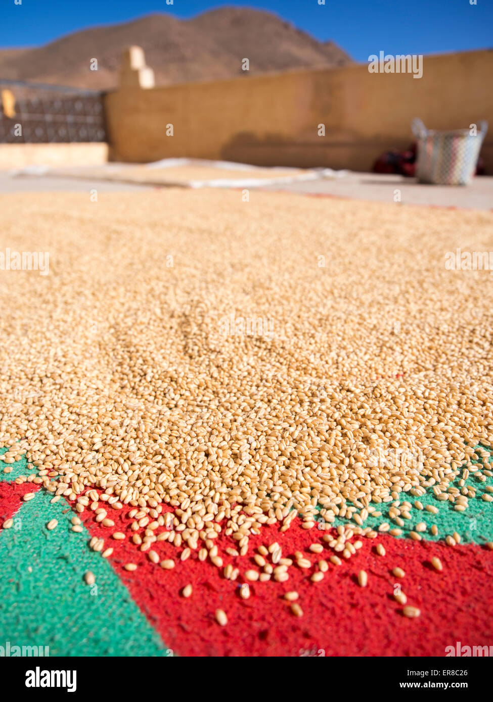 Drying wheat hi-res stock photography and images - Alamy