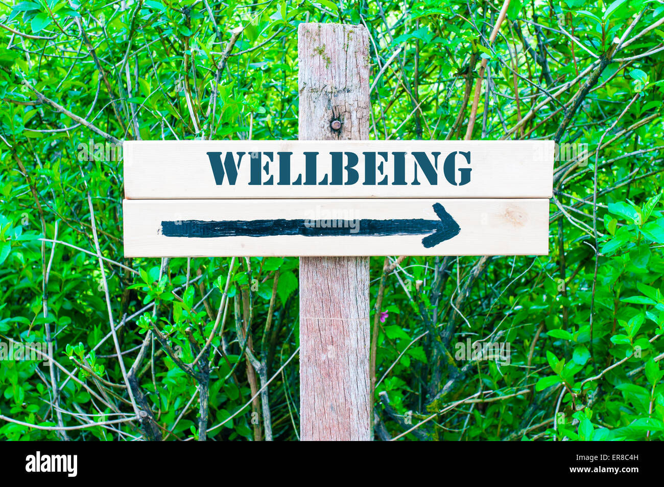 WELLBEING written on Directional wooden sign with arrow pointing to the ...