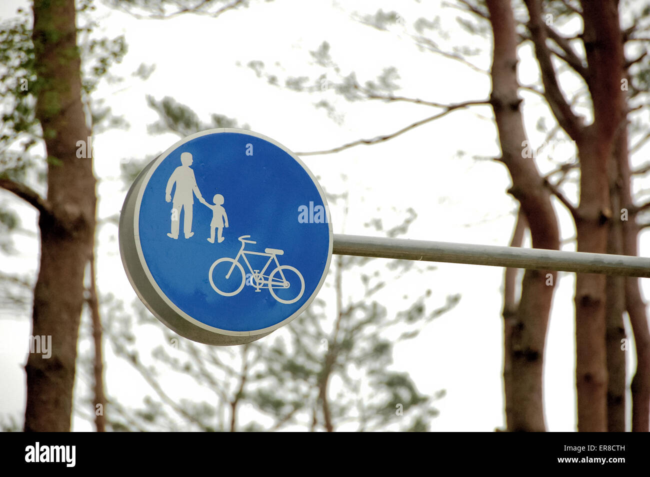 family and bicycle traffic sign in blue Stock Photo - Alamy