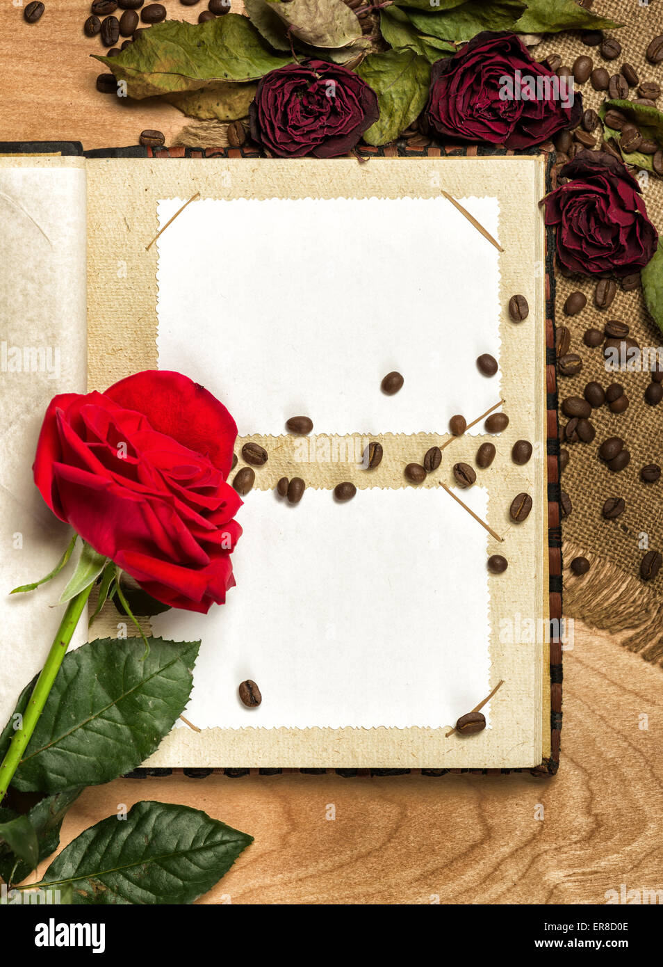 photo album and red roses on coffee seeds Stock Photo - Alamy