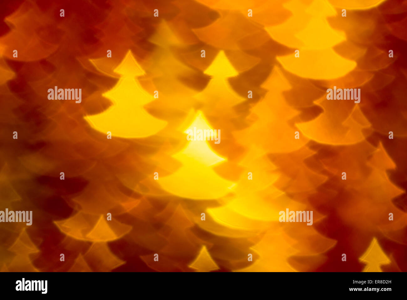 Yellow fir trees hi-res stock photography and images - Alamy