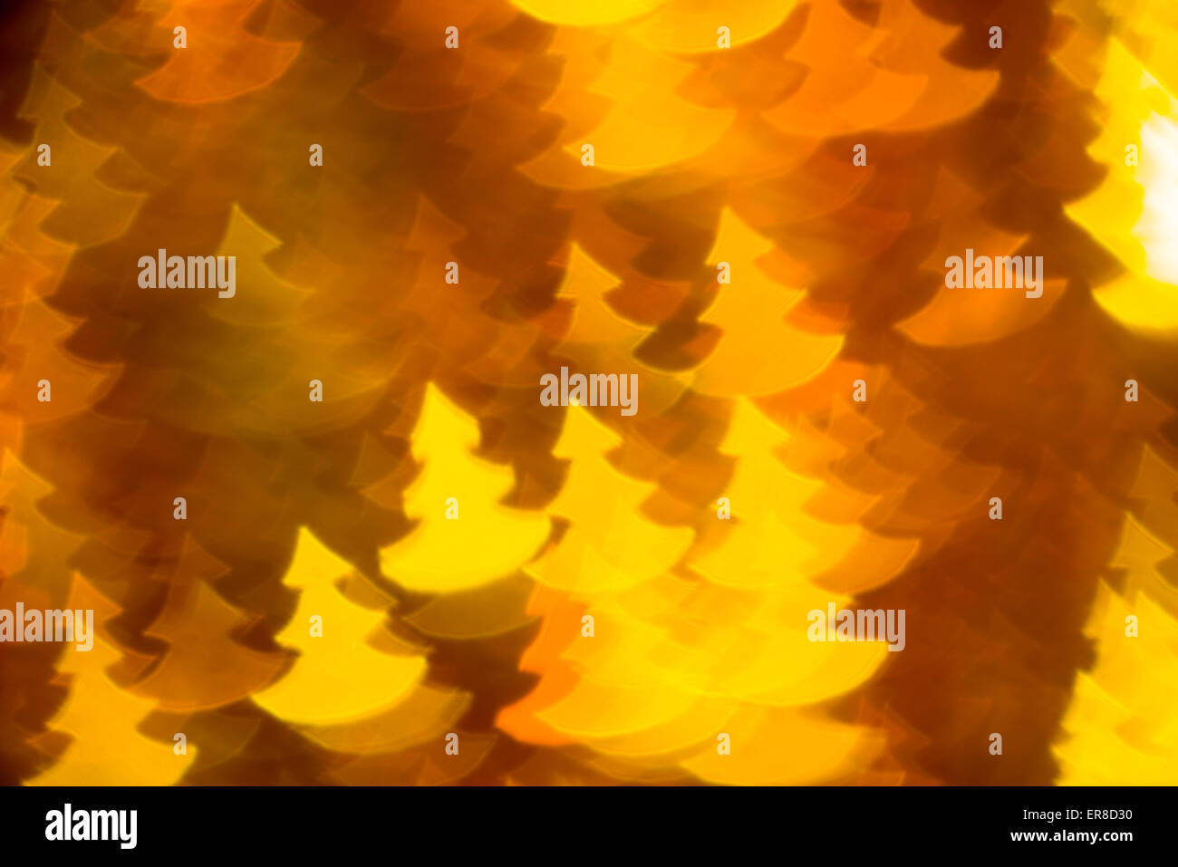 yellow fir trees shape photo as background Stock Photo - Alamy