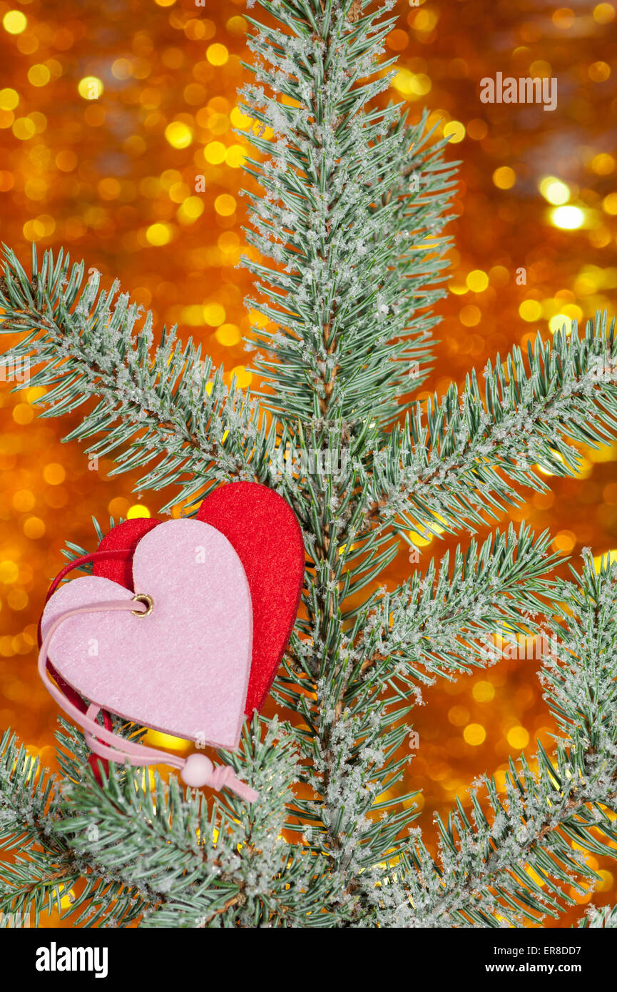 two hearts on christmas fir tree branch Stock Photo - Alamy