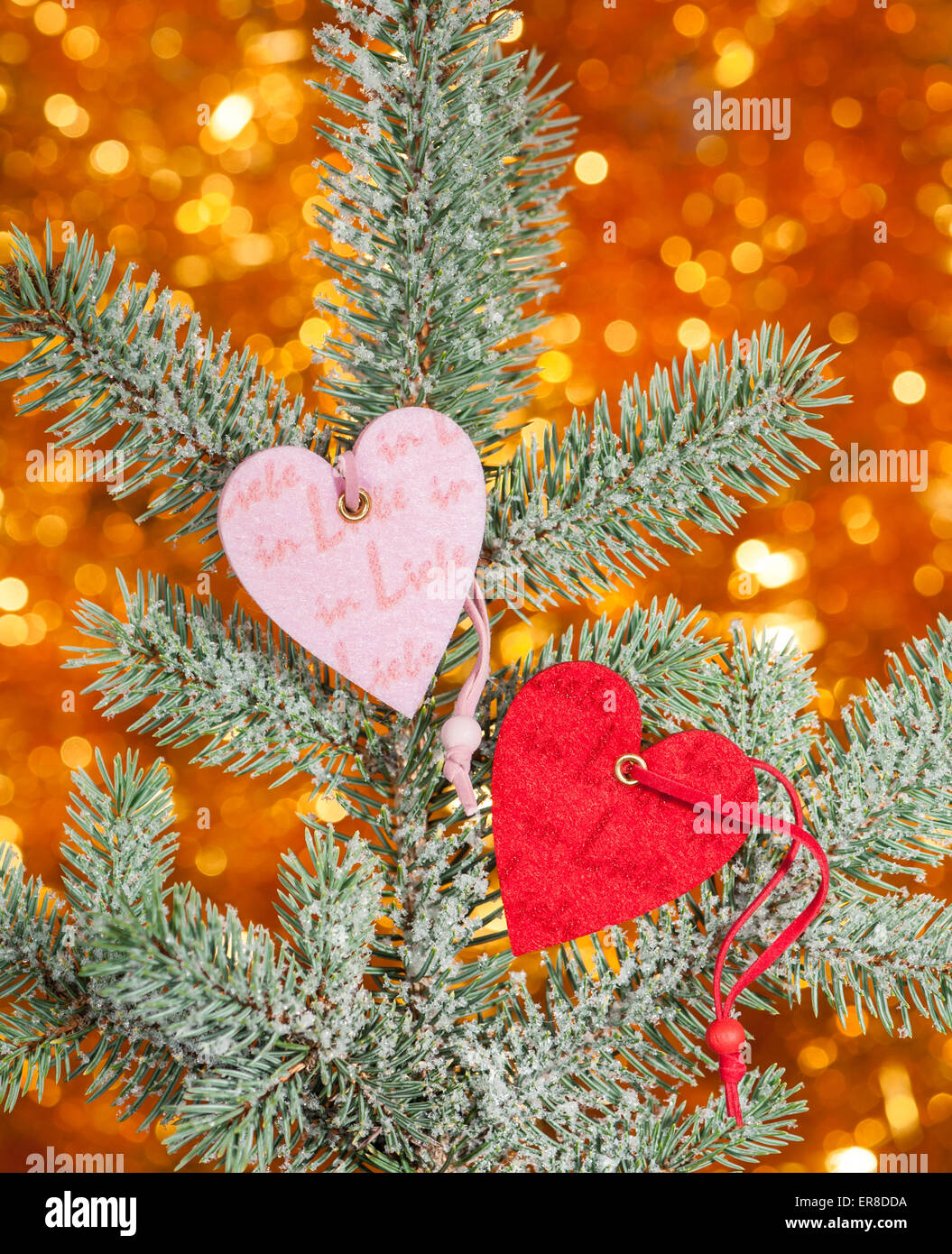 two hearts on christmas fir tree branch Stock Photo - Alamy