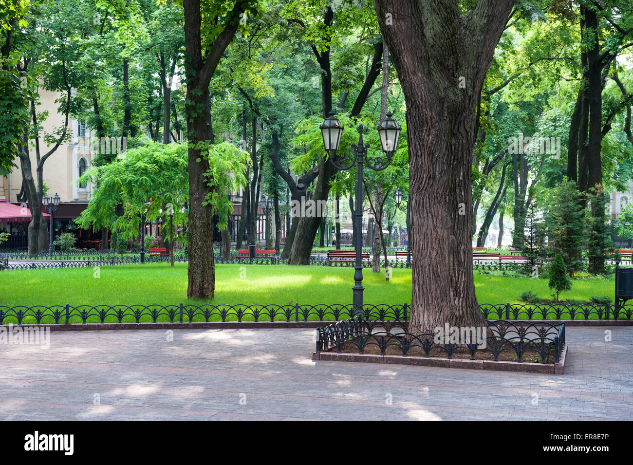 Summer day in city park Stock Photo - Alamy
