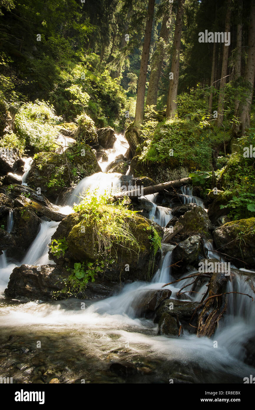 Waterfall in forest long hi-res stock photography and images - Alamy