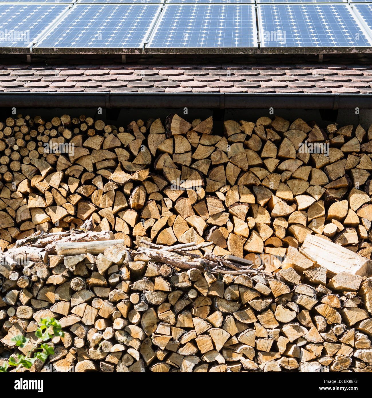 Solar panels on stack of logs Stock Photo - Alamy