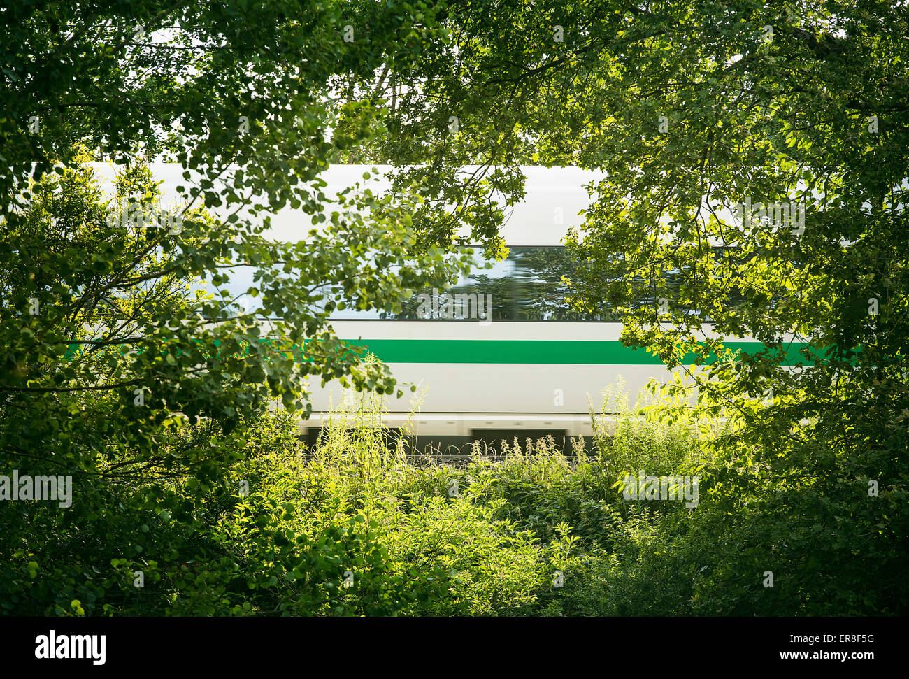 Train tree trees hi-res stock photography and images - Alamy