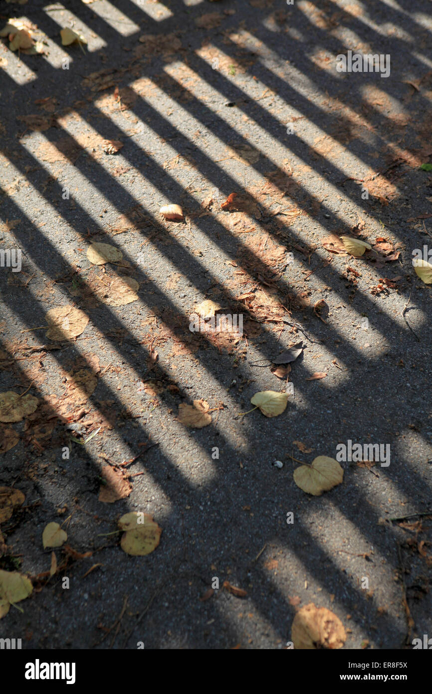 Shadow of railing on messy street Stock Photo - Alamy
