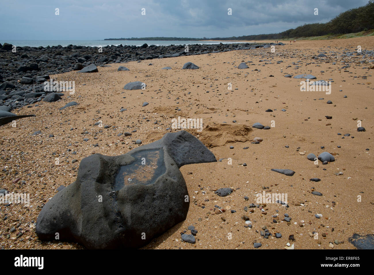 On Mon Repos Beach Stock Photo - Alamy