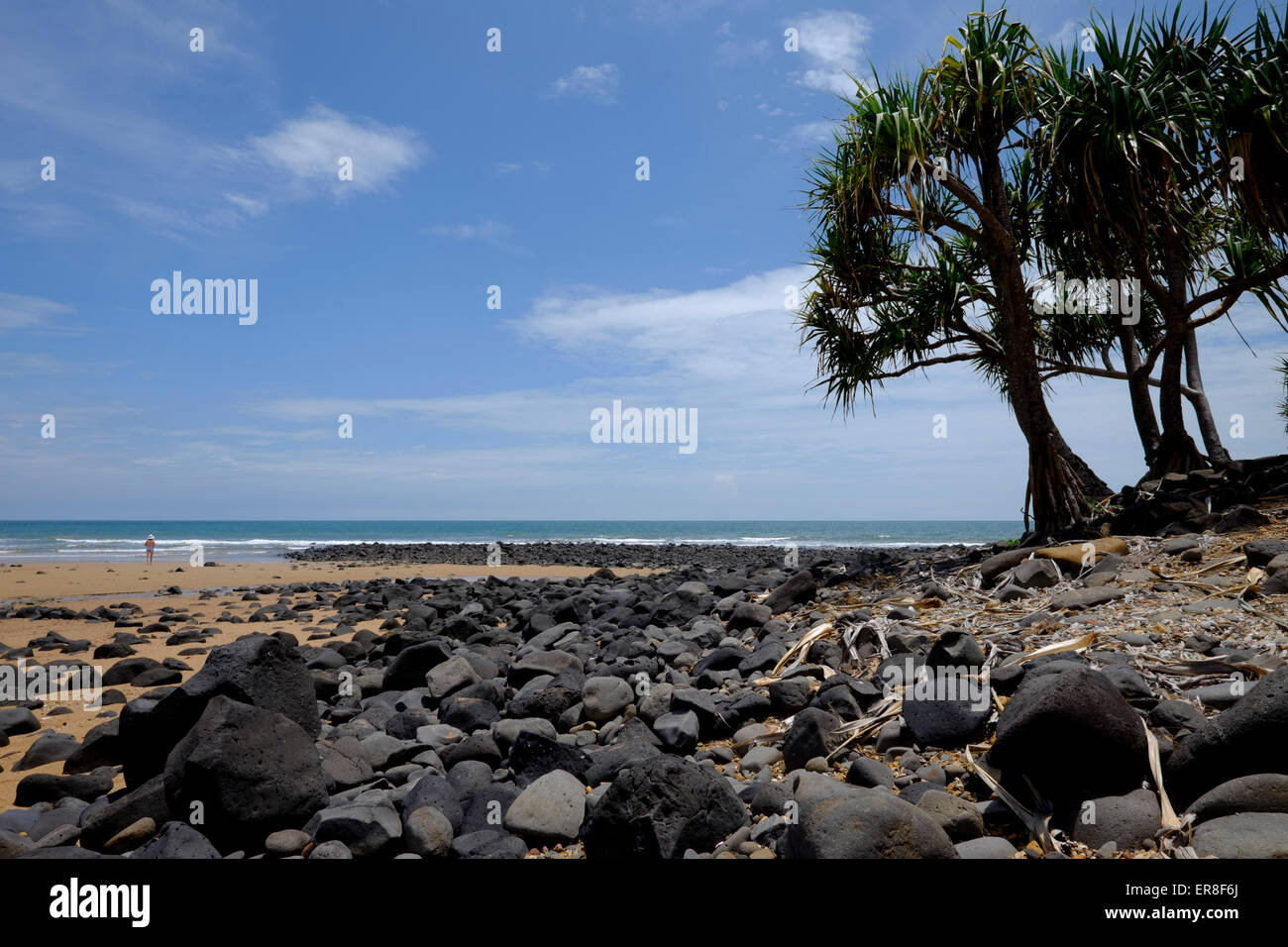 On Mon Repos Beach Stock Photo - Alamy