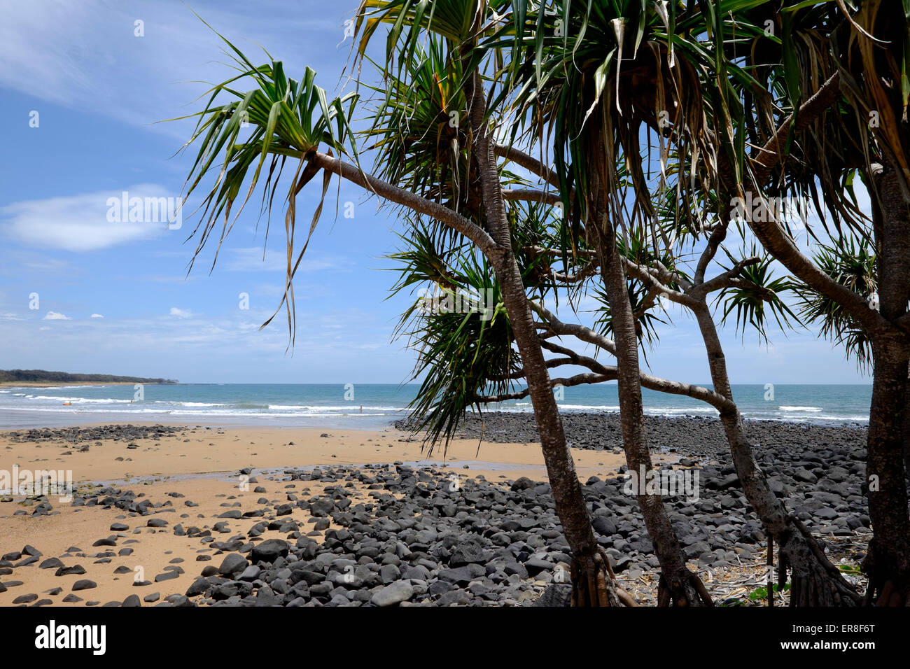 On Mon Repos Beach Stock Photo - Alamy