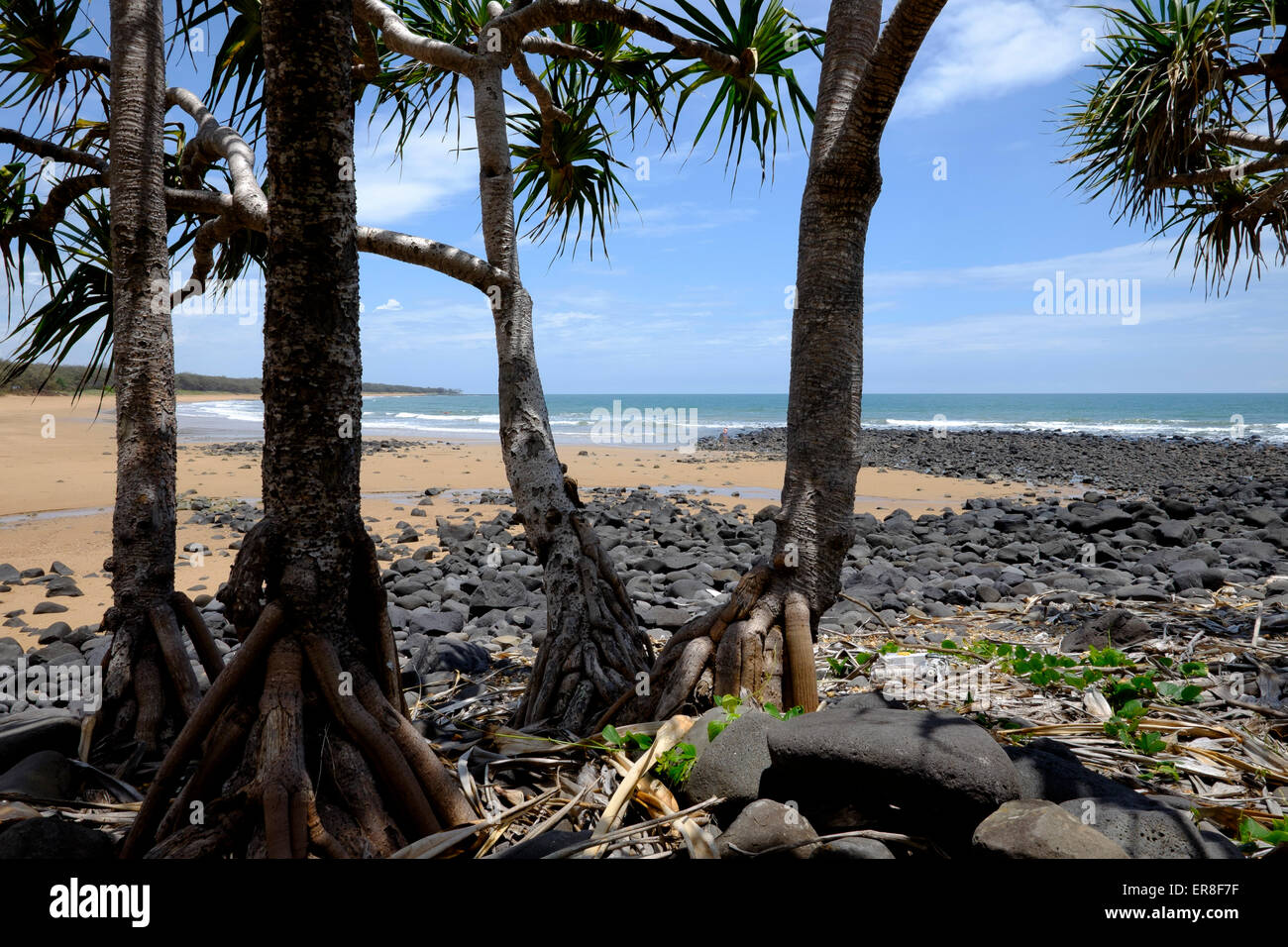On Mon Repos Beach Stock Photo - Alamy