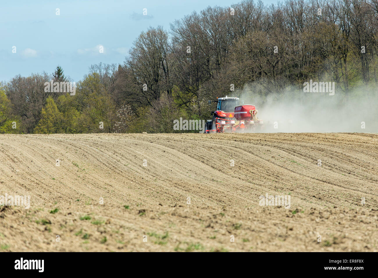 Sowing of the corn in the spring season Stock Photo - Alamy