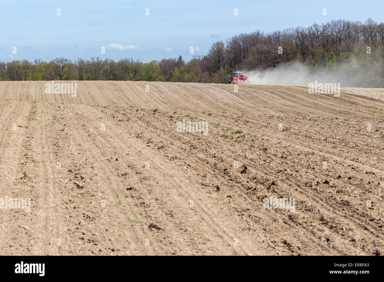 Sowing of the corn in the spring season Stock Photo - Alamy