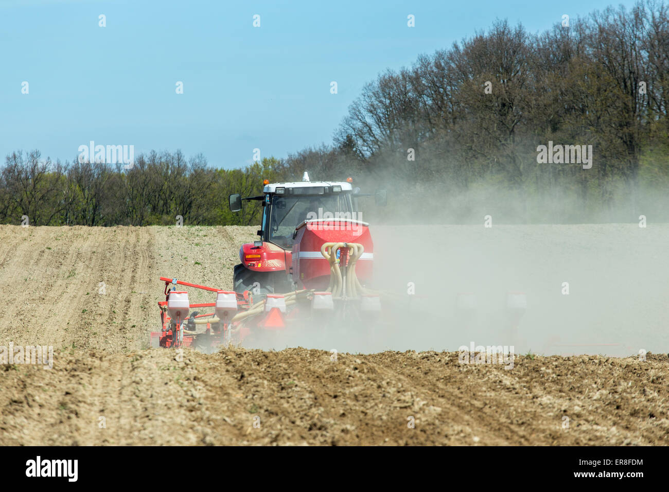 Sowing of the corn in the spring season Stock Photo - Alamy