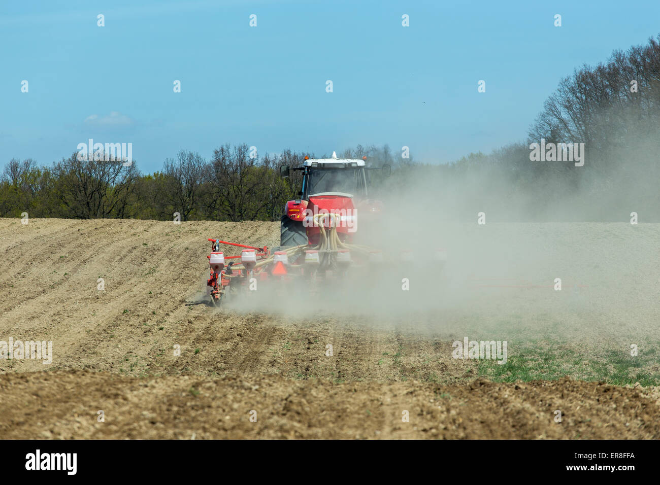 Sowing of the corn in the spring season Stock Photo - Alamy
