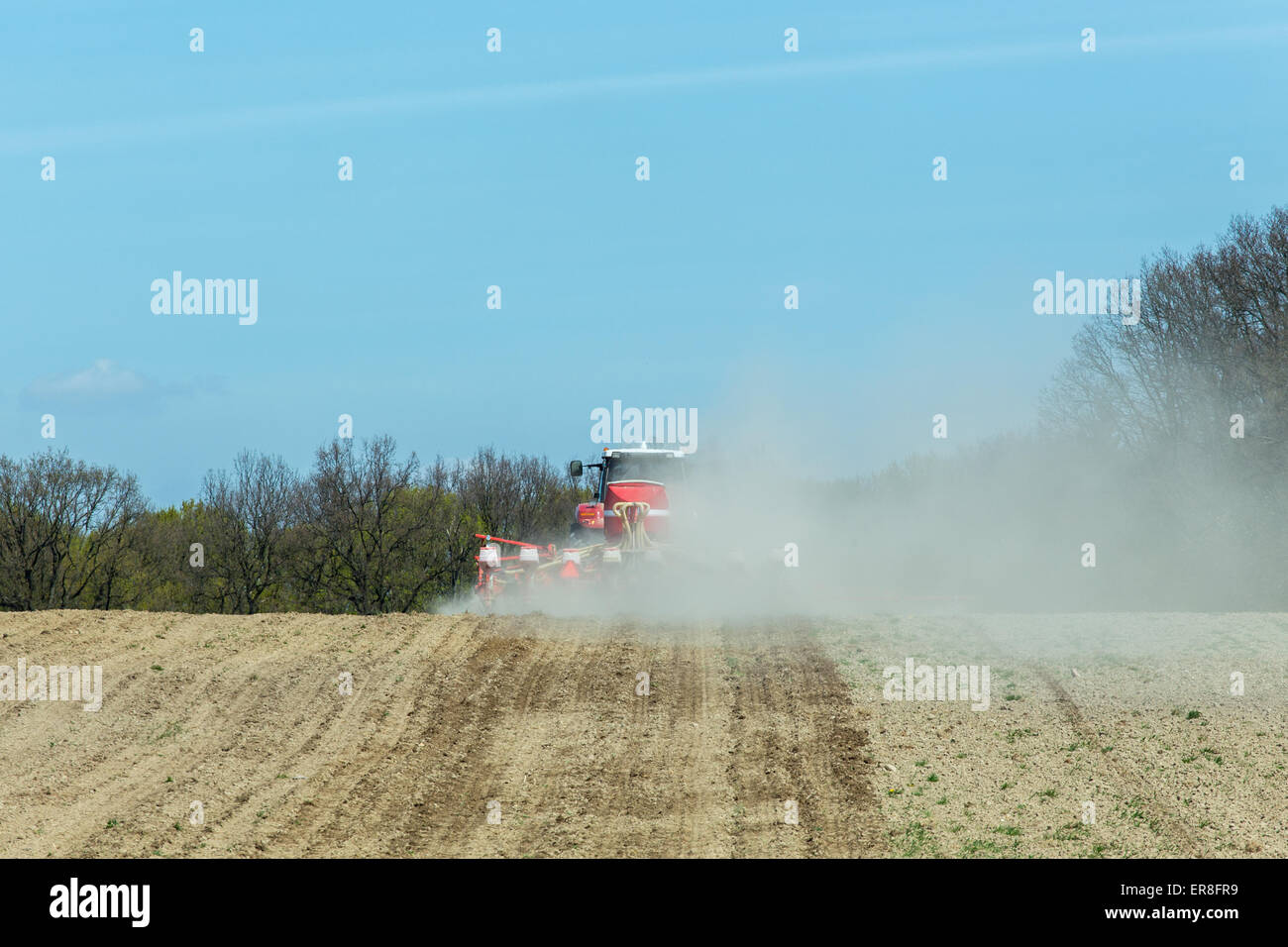 Sowing of the corn in the spring season Stock Photo - Alamy