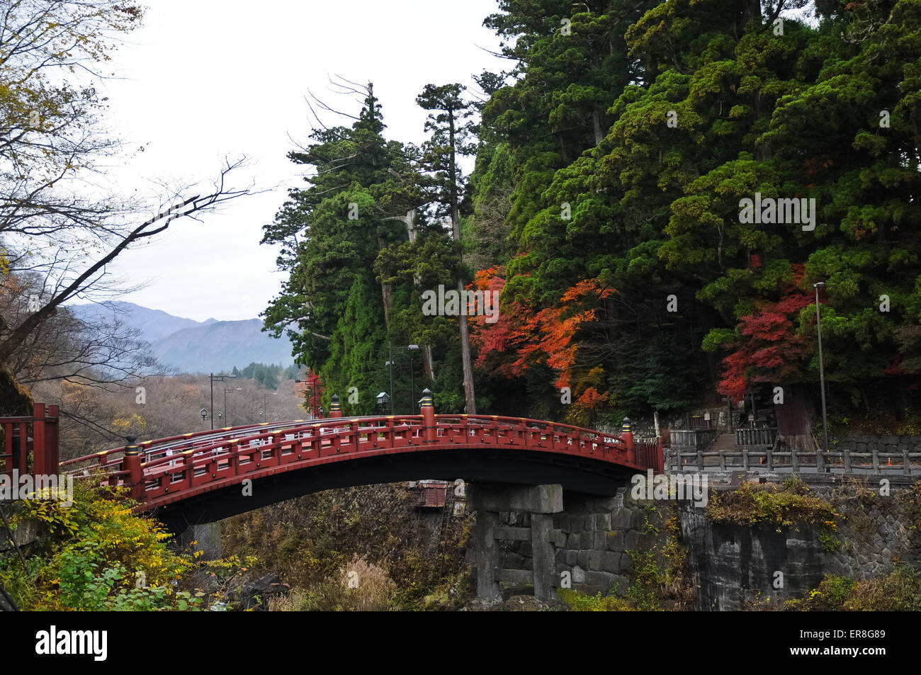 Ancient Japanese red arc bridge and Autumn leaves in Senda Japan Stock ...