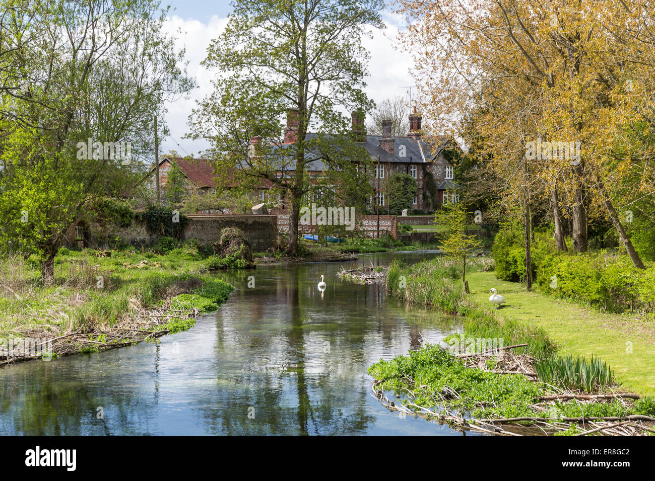 River Test at Freefolk, Hampshire, England, UK Stock Photo - Alamy