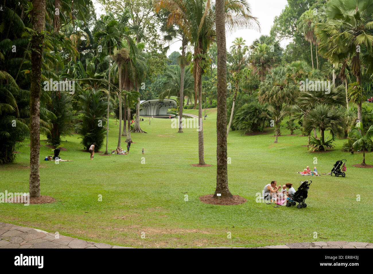 singapore botanical garden; sitting in the Singapore Botanic Gardens ...