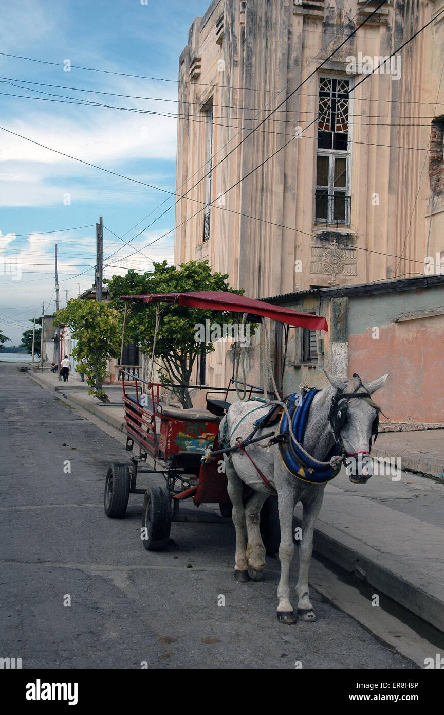 Horse and cart taxi in Cienfuegos, Cuba Stock Photo - Alamy