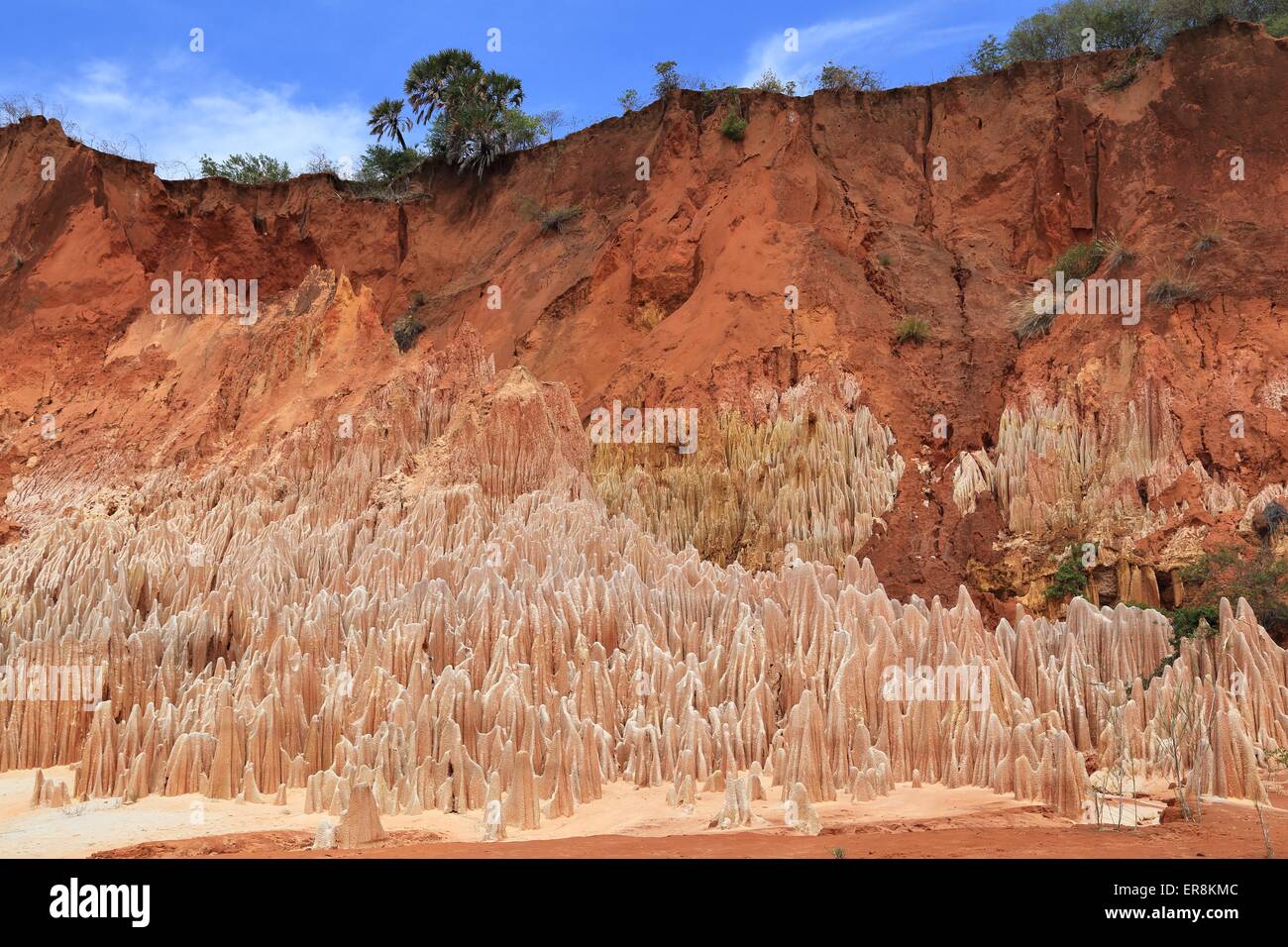 Tsingy rouge, madagascar hi-res stock photography and images - Alamy