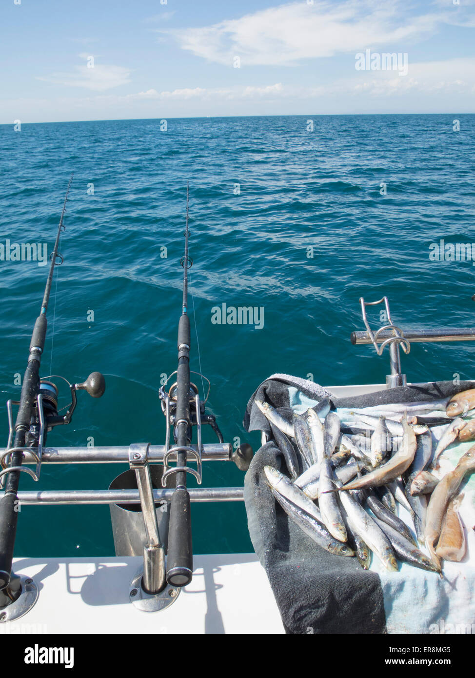 Rods hi-res stock photography and images - Alamy