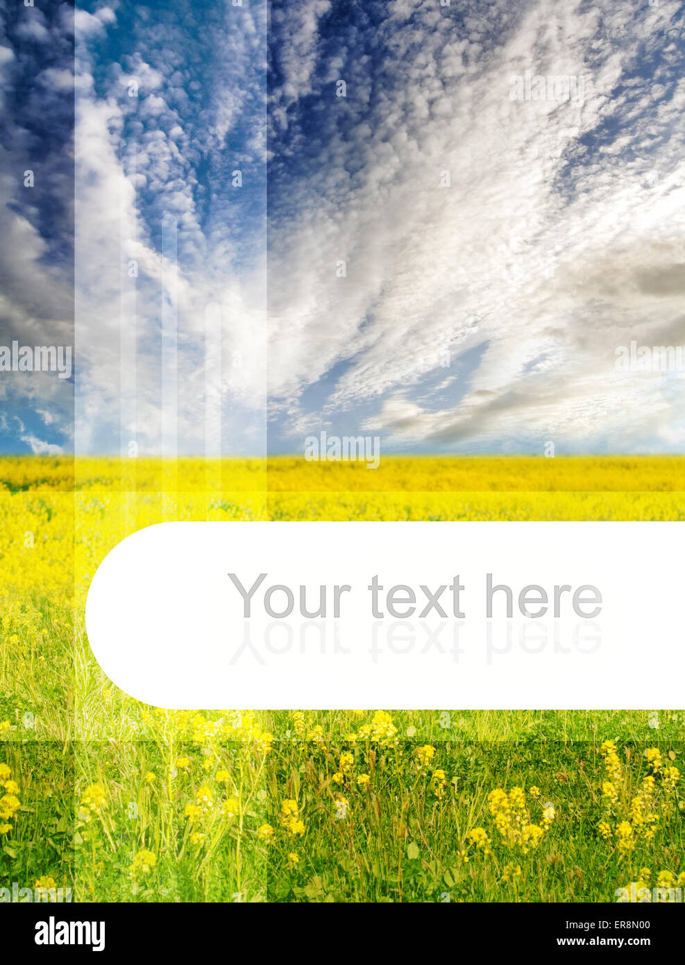 Beautiful scenic with simple graphic design on it. Perfect place to put ...