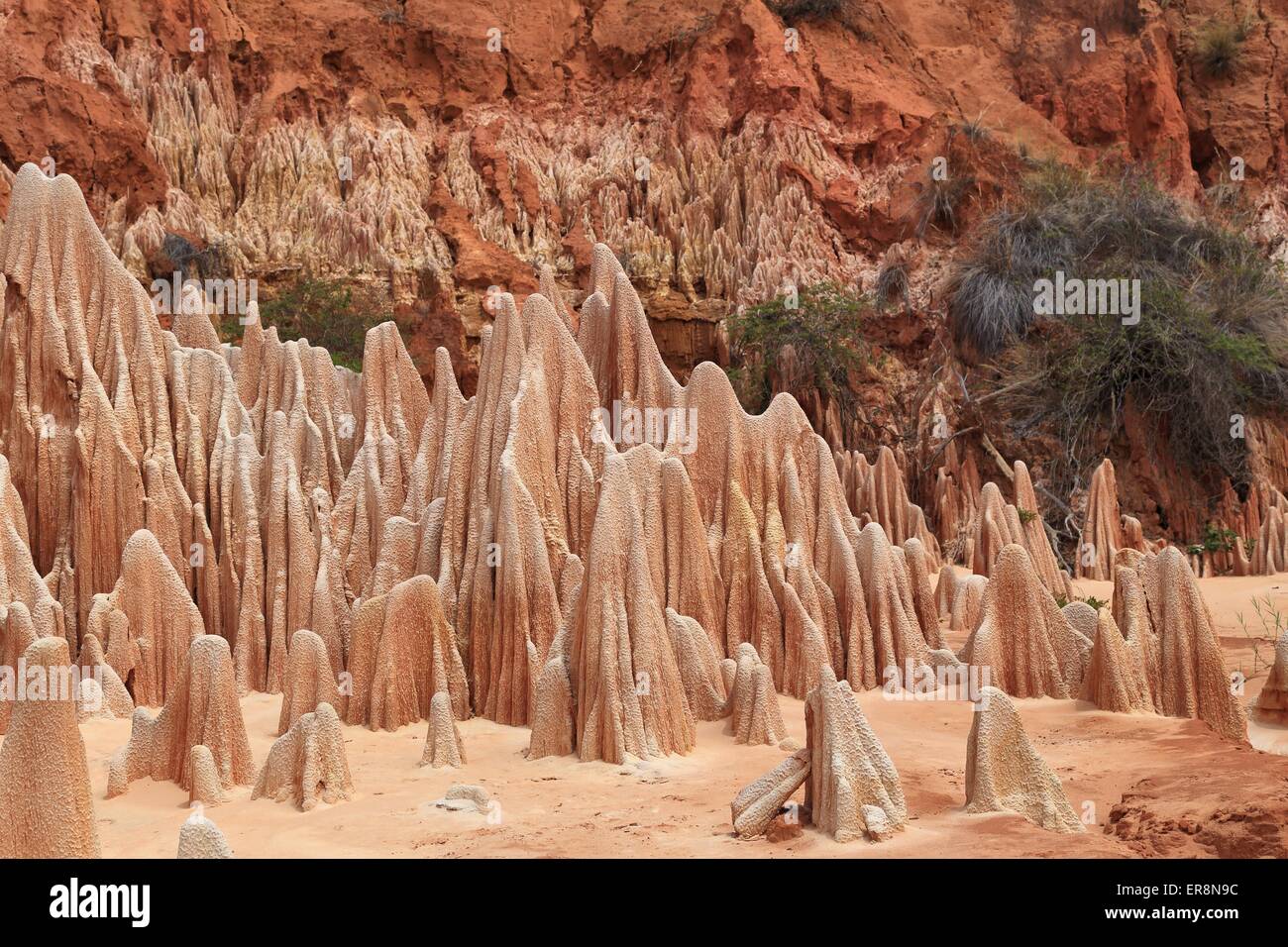 Tsingy rouge, madagascar hi-res stock photography and images - Alamy
