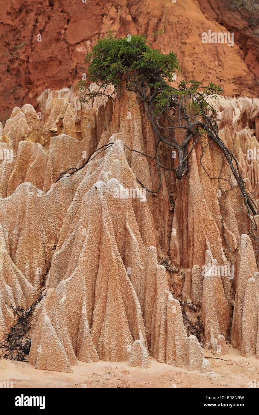Tsingy Rouge also know as Red Tsingy which are rock formations near ...