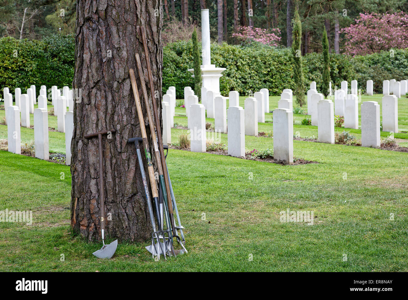 Brookwood Military Cemetery - gardeners tools leaning against a tree ...