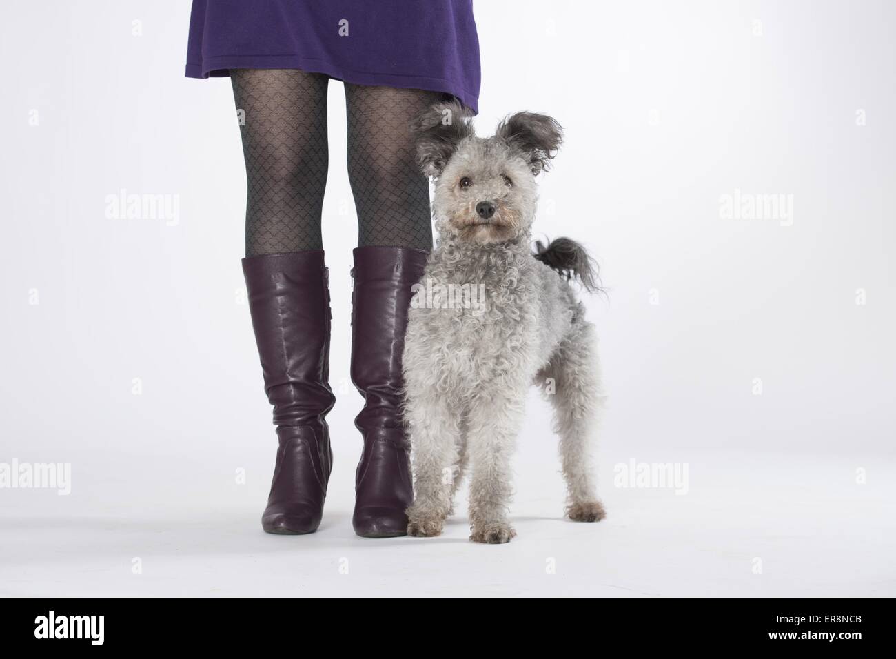 woman with pumi Stock Photo - Alamy