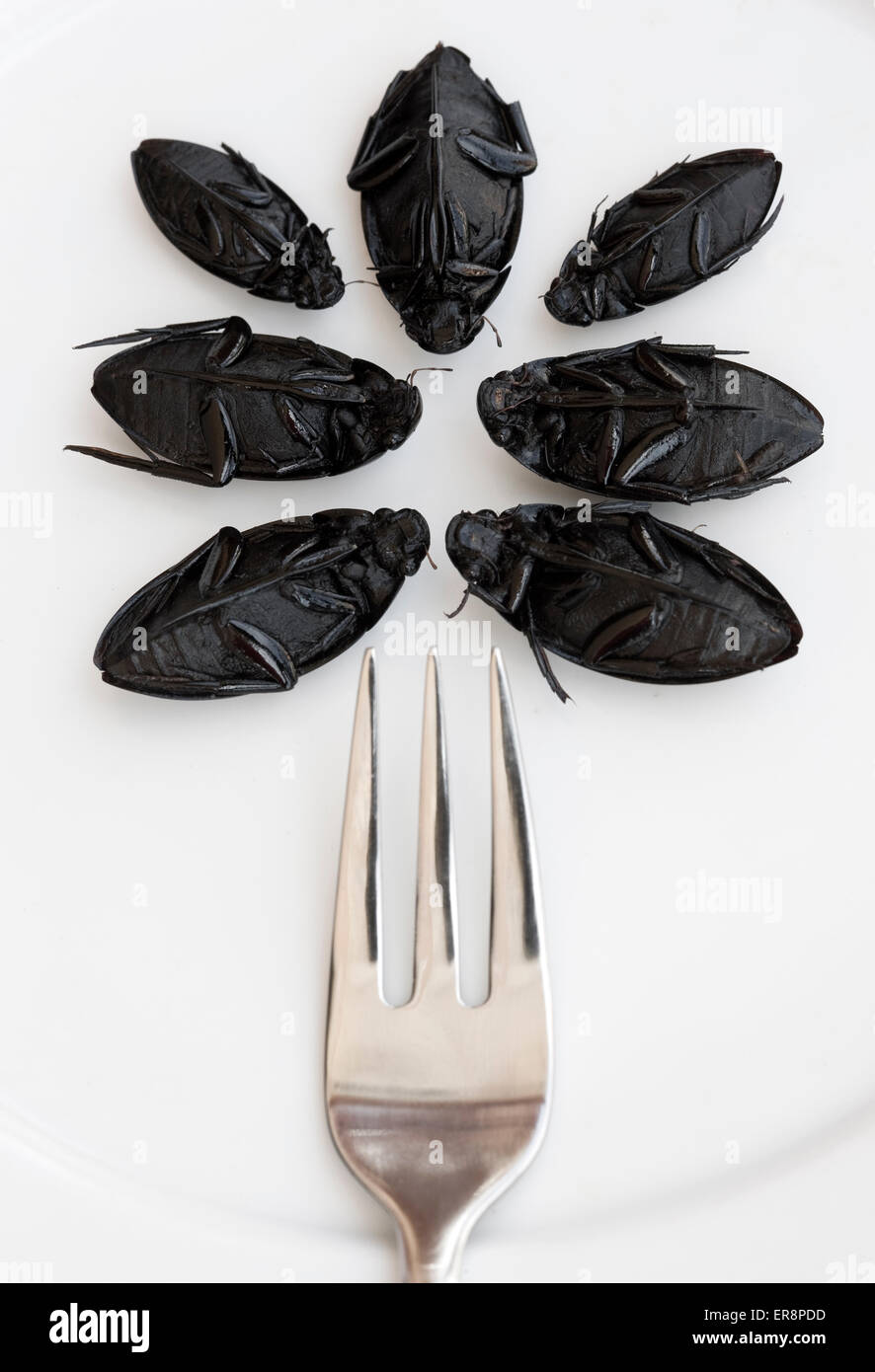 Cooked Beetles as sold at food markets in Cambodia Stock Photo - Alamy